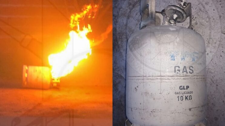 Días y horarios para visitar el Carrusel de Puerto General San Martín ...